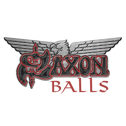 A Contract-Tiered Baseball League - Saxon Balls Team Info